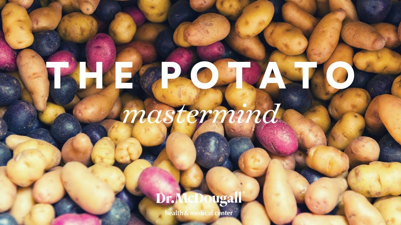 Potato Mastermind Part 2 Youtube