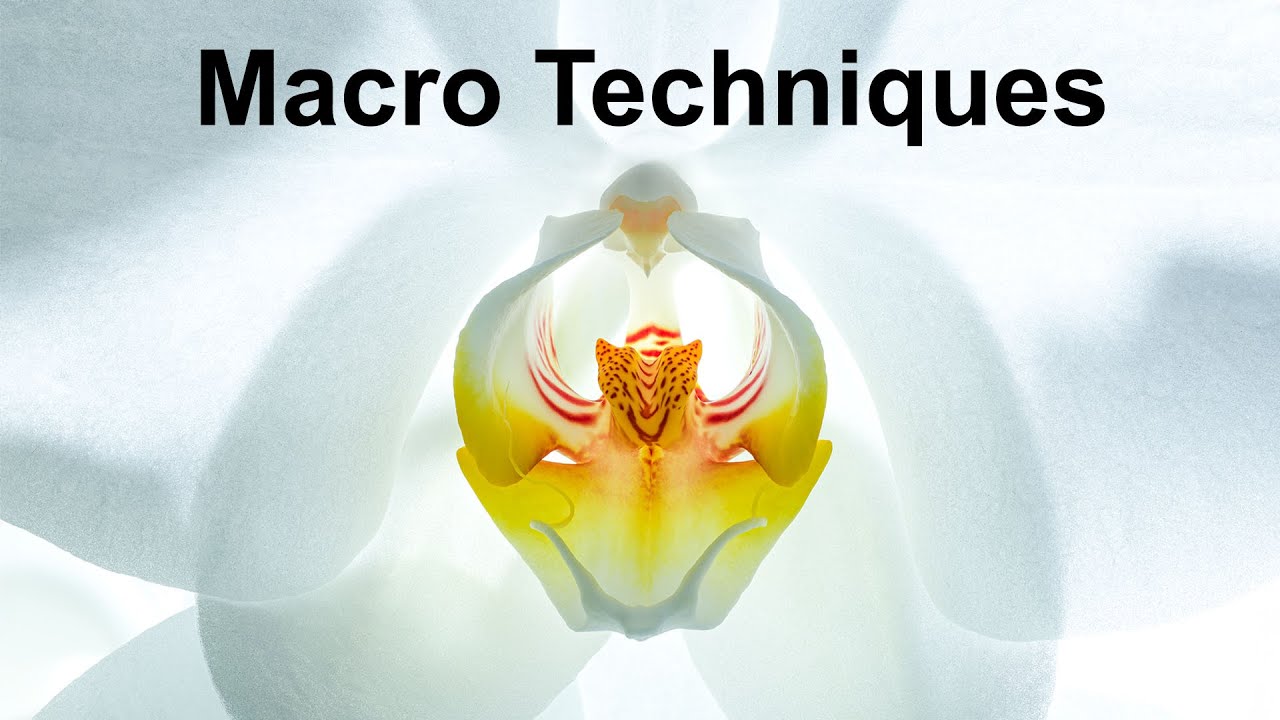 Focus Stacking Photography Youtube