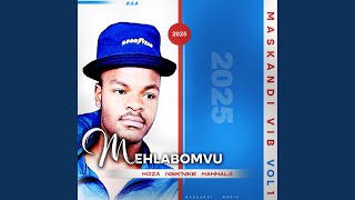 Mehlabomvu Sekungaphezu Kwamandlami Maskandi Vib Vol 1 Topic Mp3 Music ...