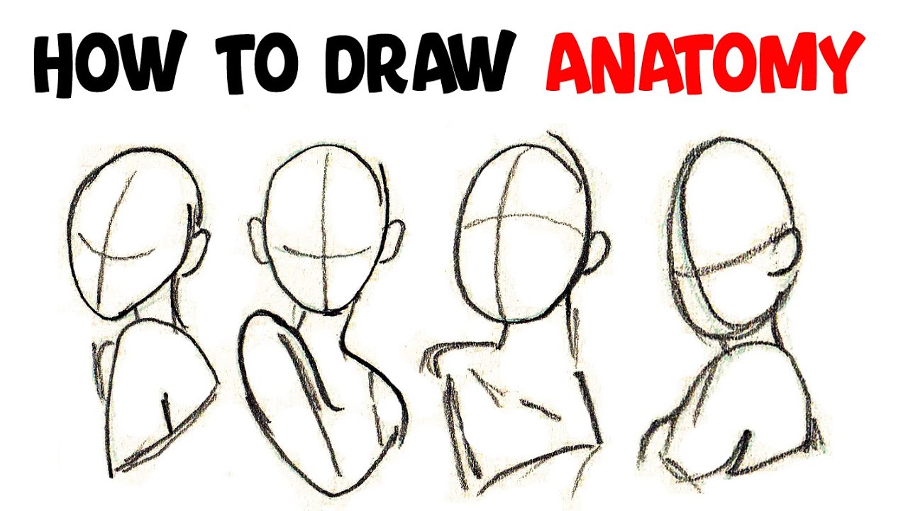 How To Draw Human Anatomy Youtube