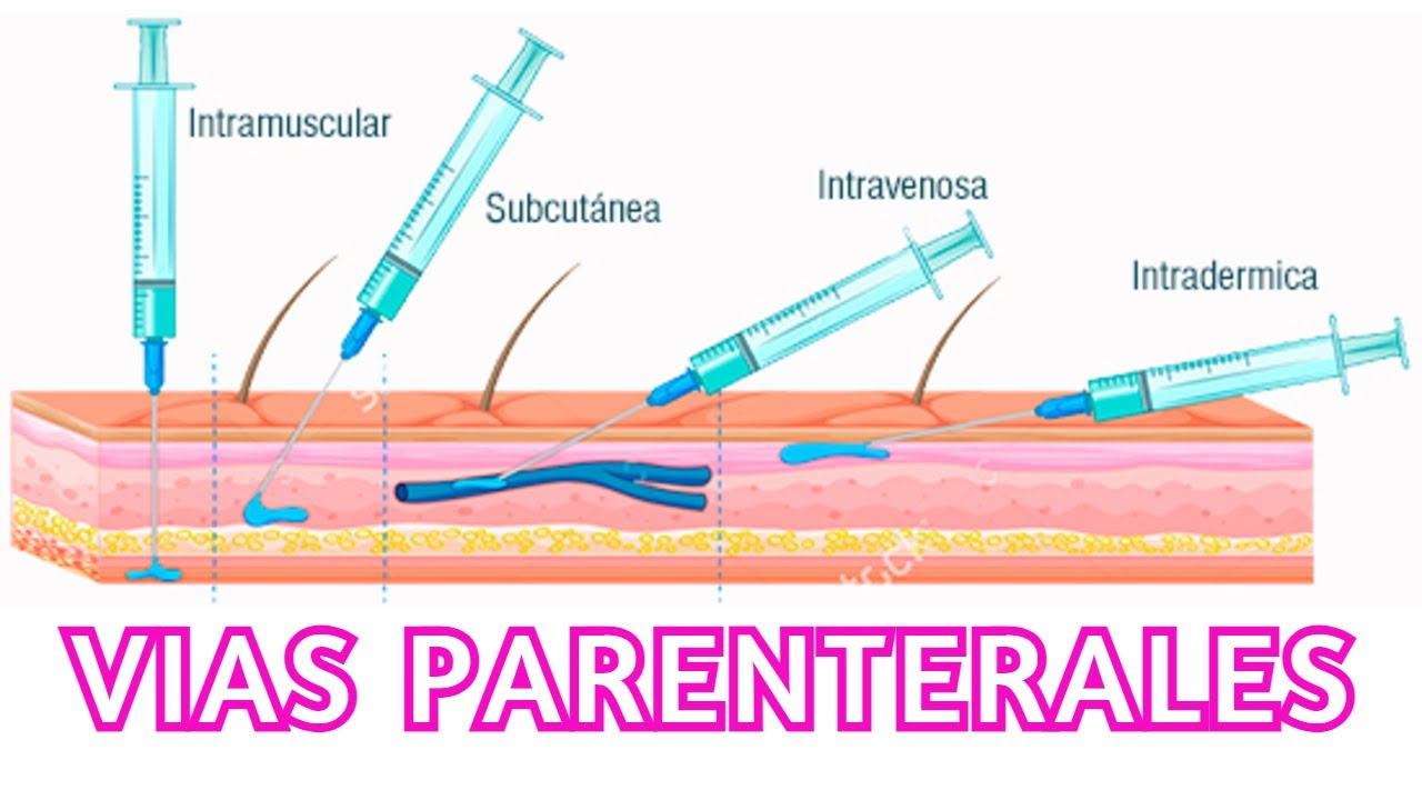Generalidades Vías Parenterales Cofia Educativa Youtube
