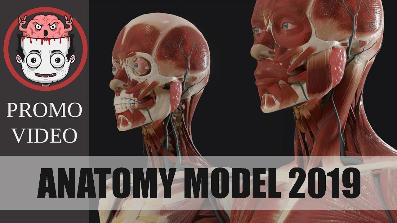Anatomy 2019 Promo Youtube