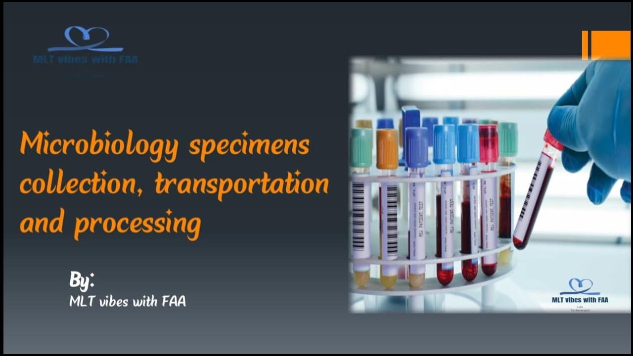 Microbiology Specimen Collection Transport Processing A Complete