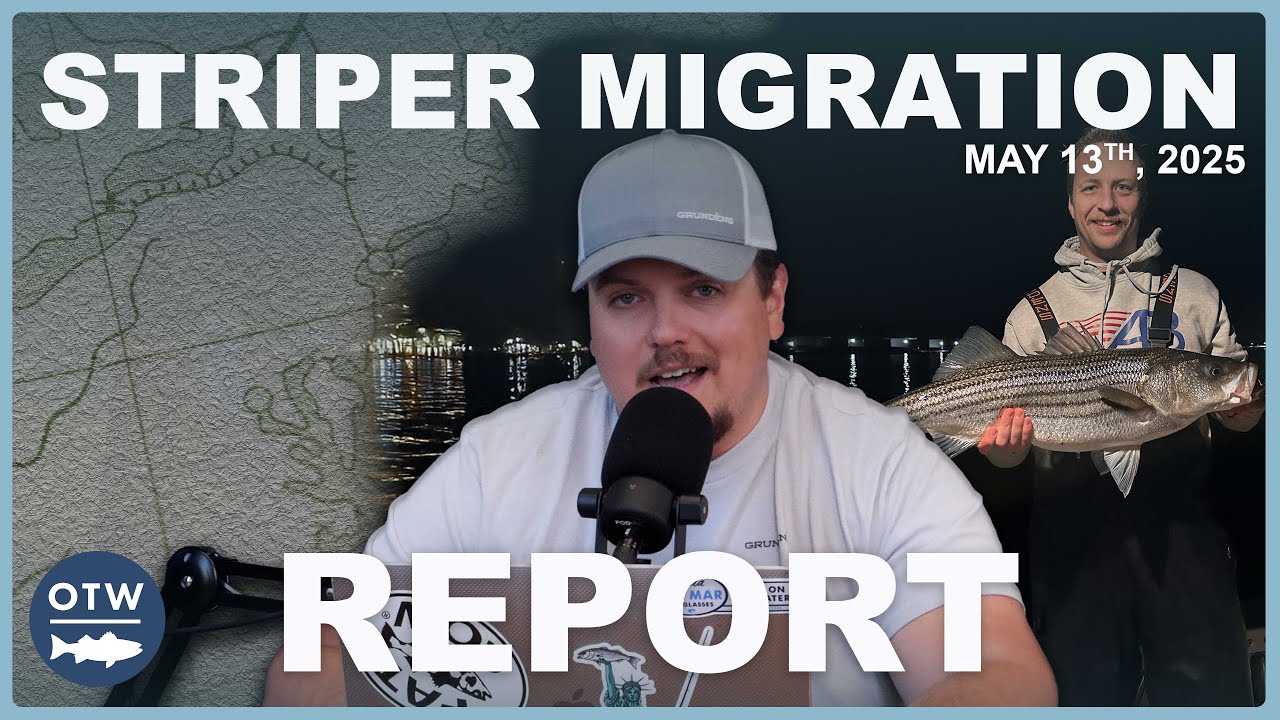 Striper Migration Report May 13th 2025 Youtube