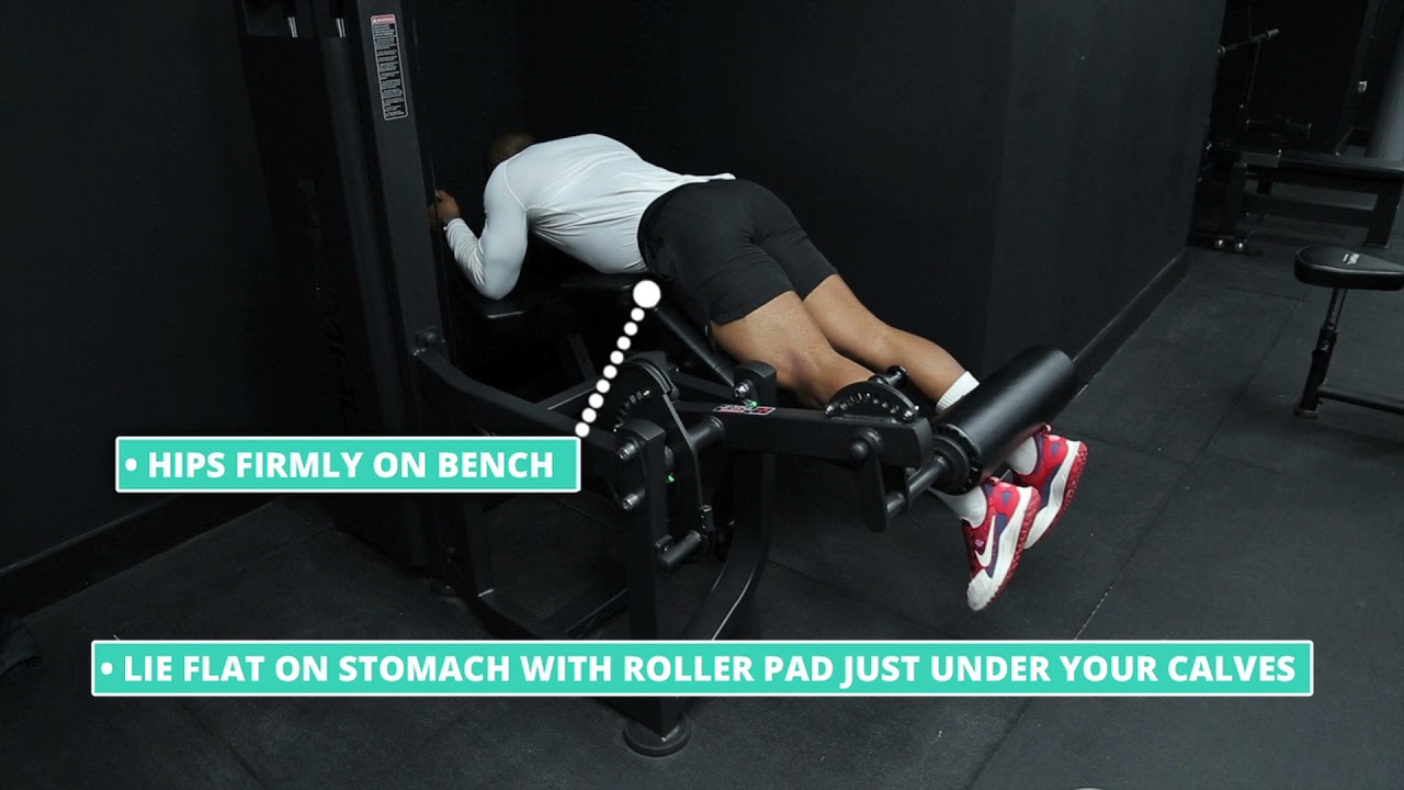 How To Do Lying Hamstring Curl Machine Exercise Demo Youtube