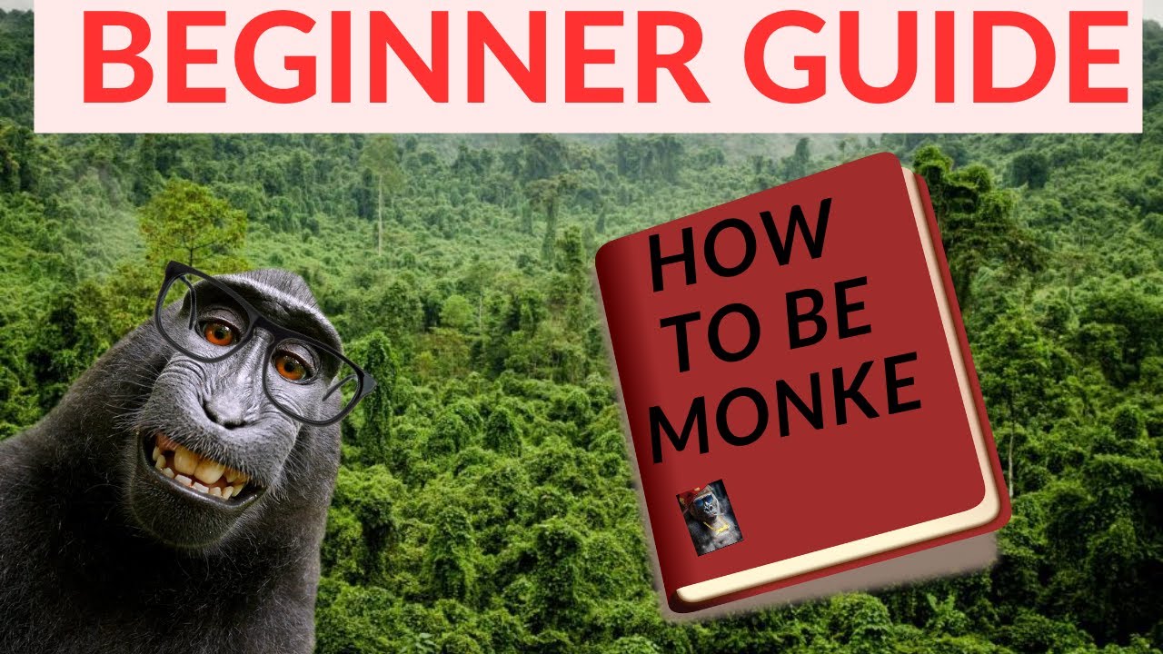 Monkey Tutorial Youtube