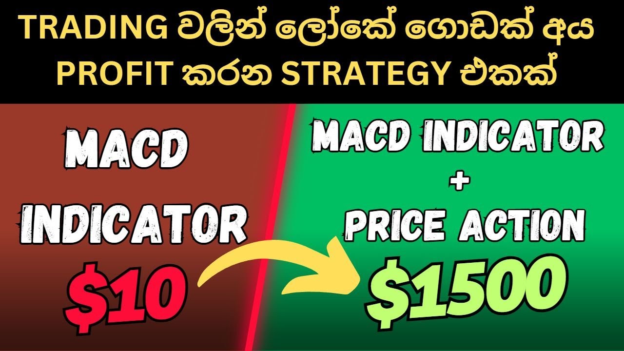 Binary Deriv Macd Trading Strategy Price Action Forex Crypto