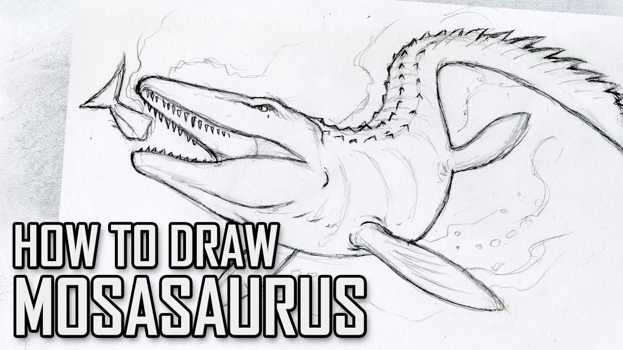 How To Draw A Mosasaurus Mosasaurs 101 National Geographic