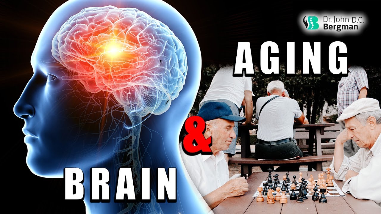 Aging Brain Function Youtube