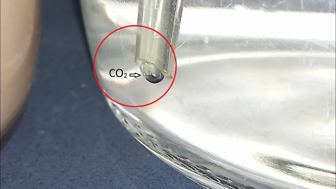 Capturing Co2 With Ca Oh 2 Youtube