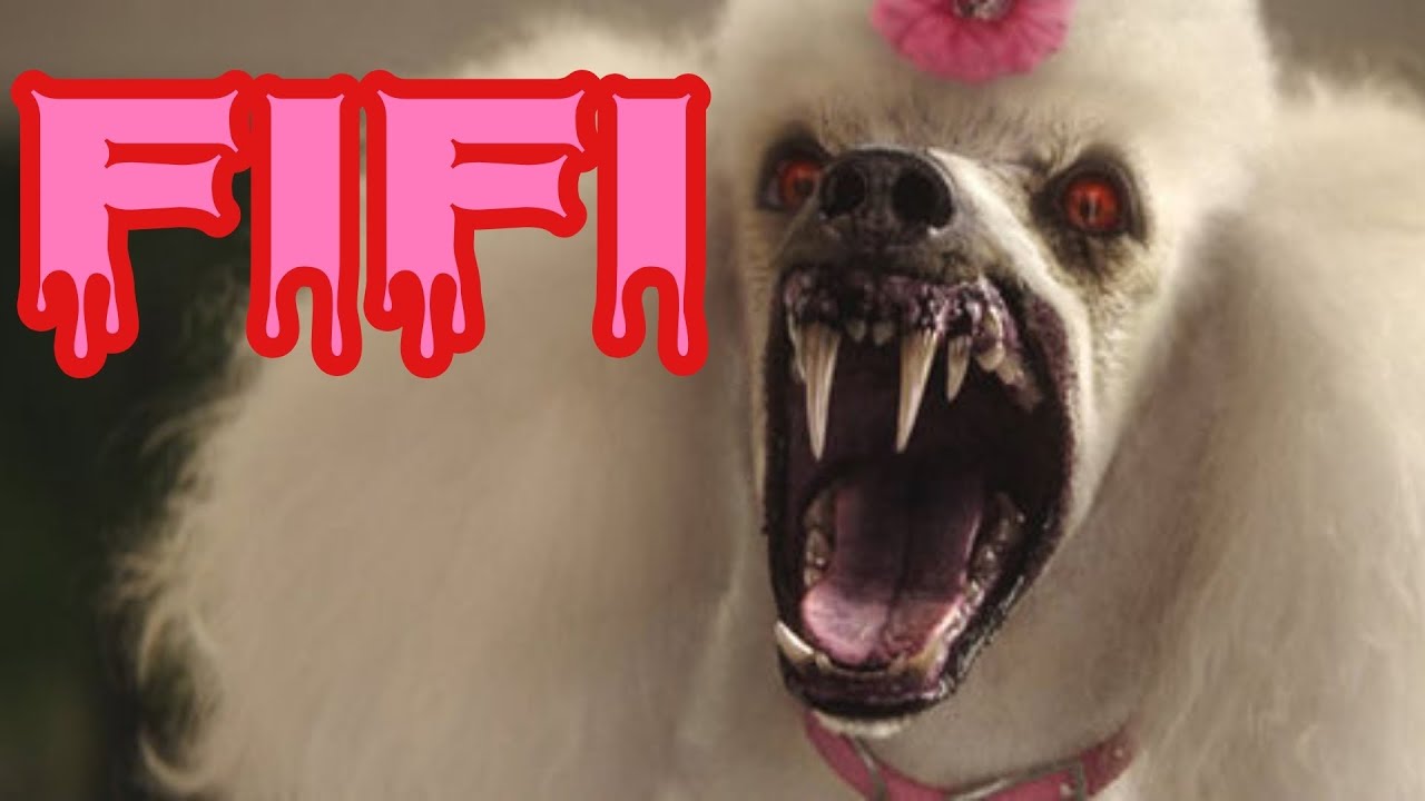 Fifi The Vampire Poodle Tribute Youtube