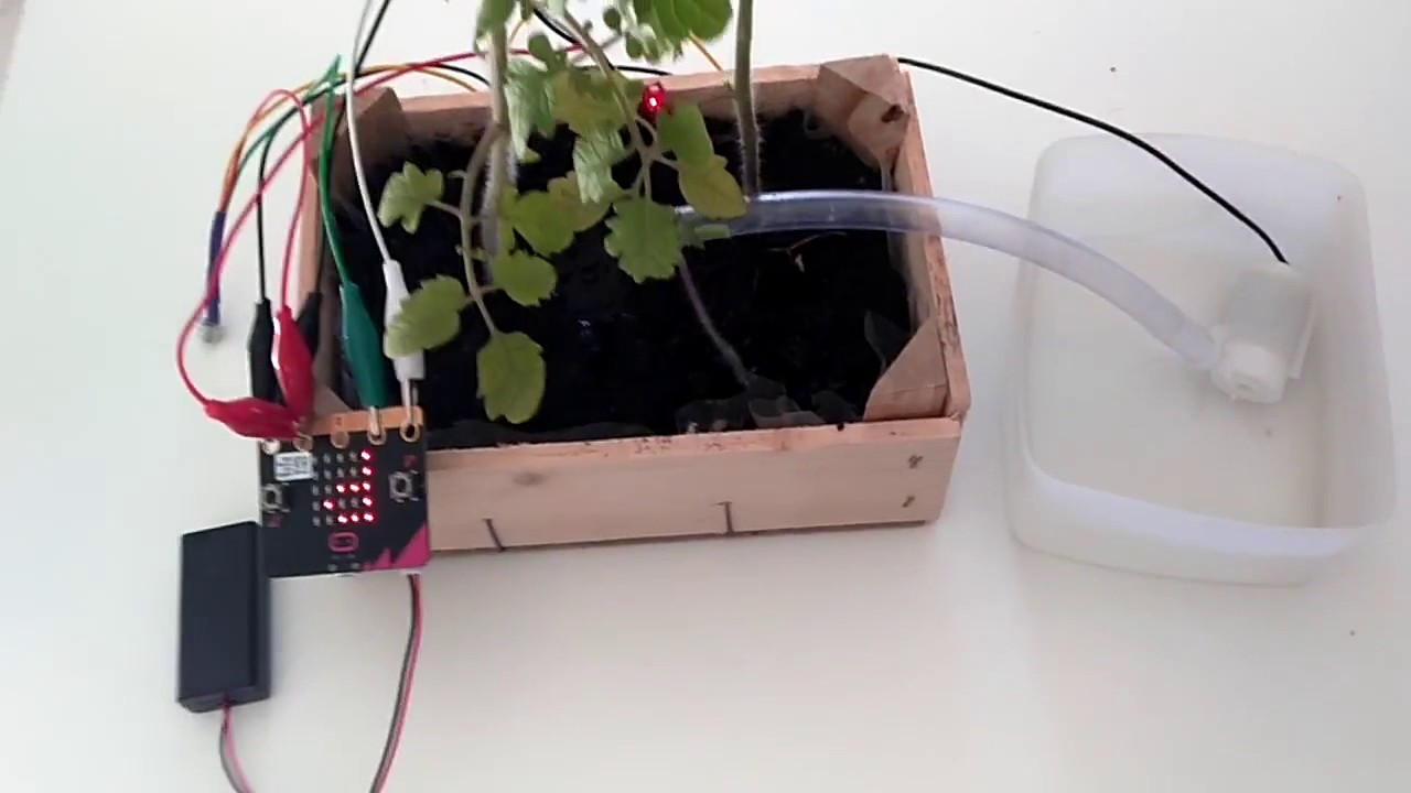 Automated Plant Watering System