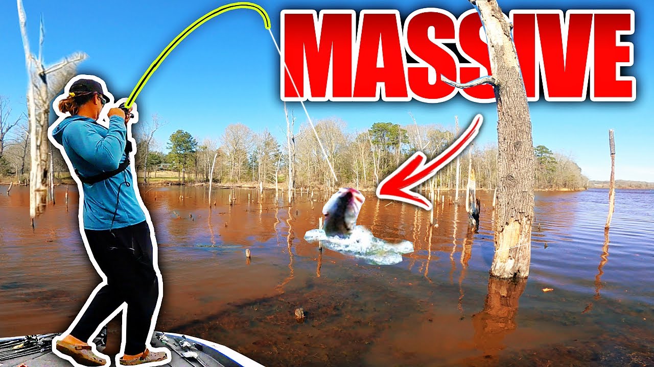 Rare Monsters Are Hiding In This Flooded Forest Youtube