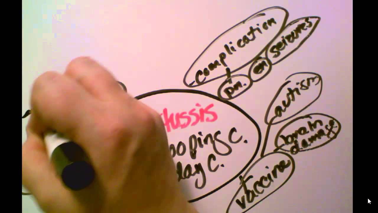 Creating A Concept Map Youtube