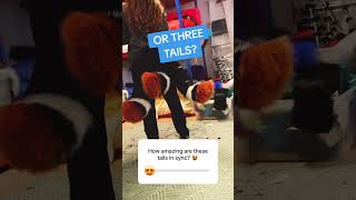 2 Tails 3 Tails Or 9 Tails Turbo Tails Kitsune More Tails The Merrier ...