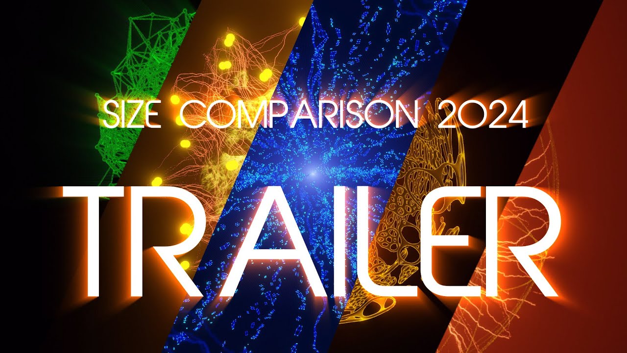 Size Comparison 2024 Trailer Youtube