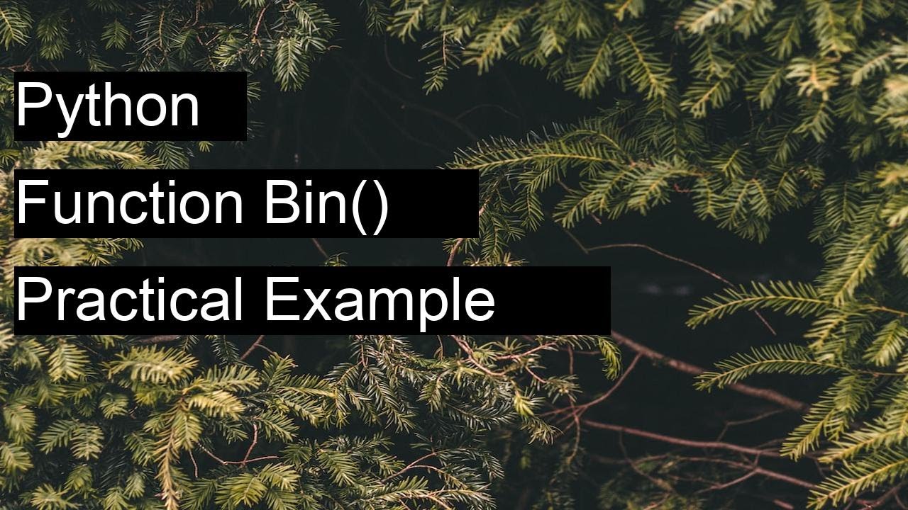 How To Use Function Bin In Python With Practical Example Youtube