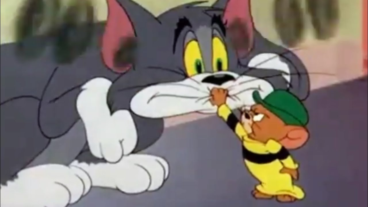 Tom Jerry Classic Cartoon Youtube