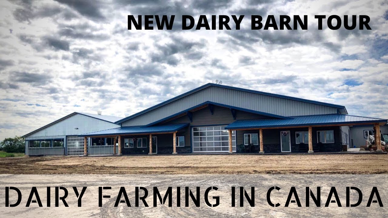 Touring Our New Dairy Barn Youtube