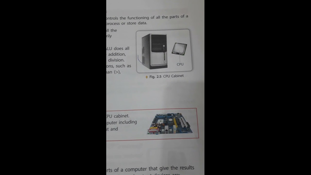 Class 3 Computer Chapter 2 Youtube