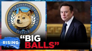 Kids Of Doge Engineer Big Balls Goes Viral Another Musk Staffer Resigns ...