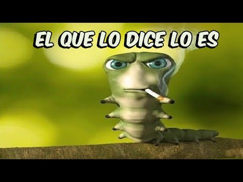 Shitposting Compilation V66 Youtube