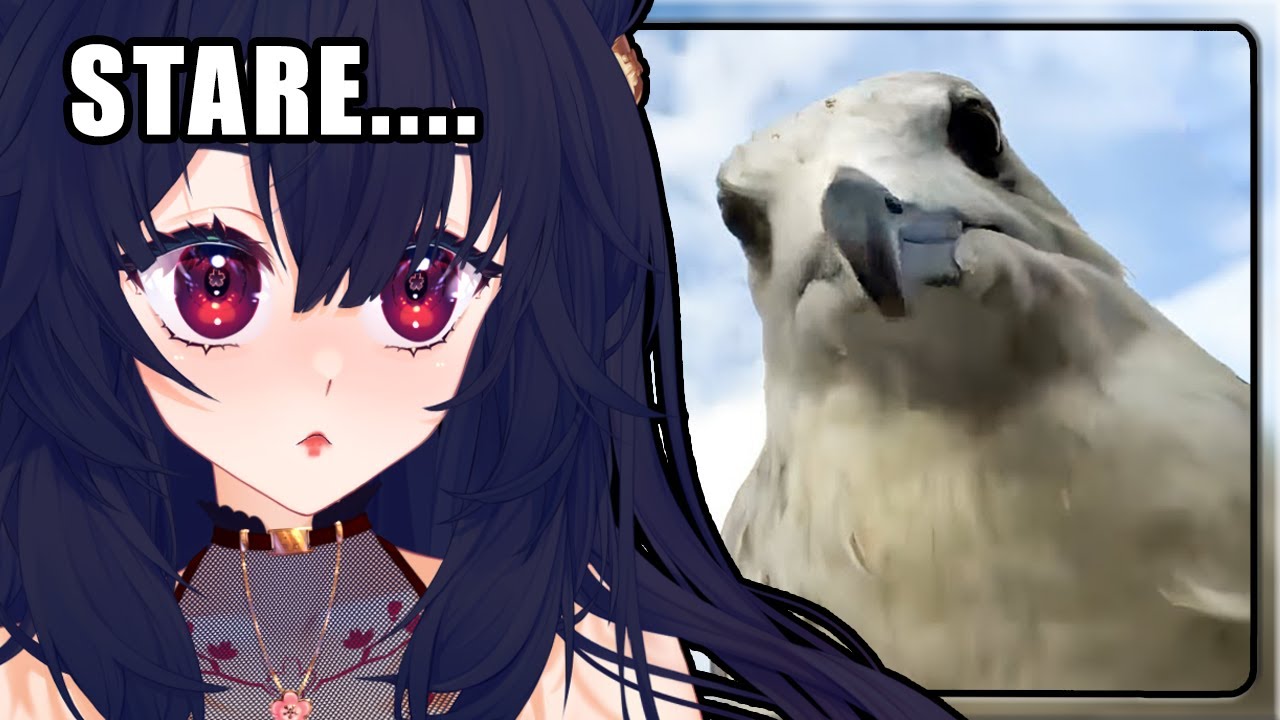 What Are You Looking At Bruh рџ ђ Mifuyu Reacts To Unusual Memes