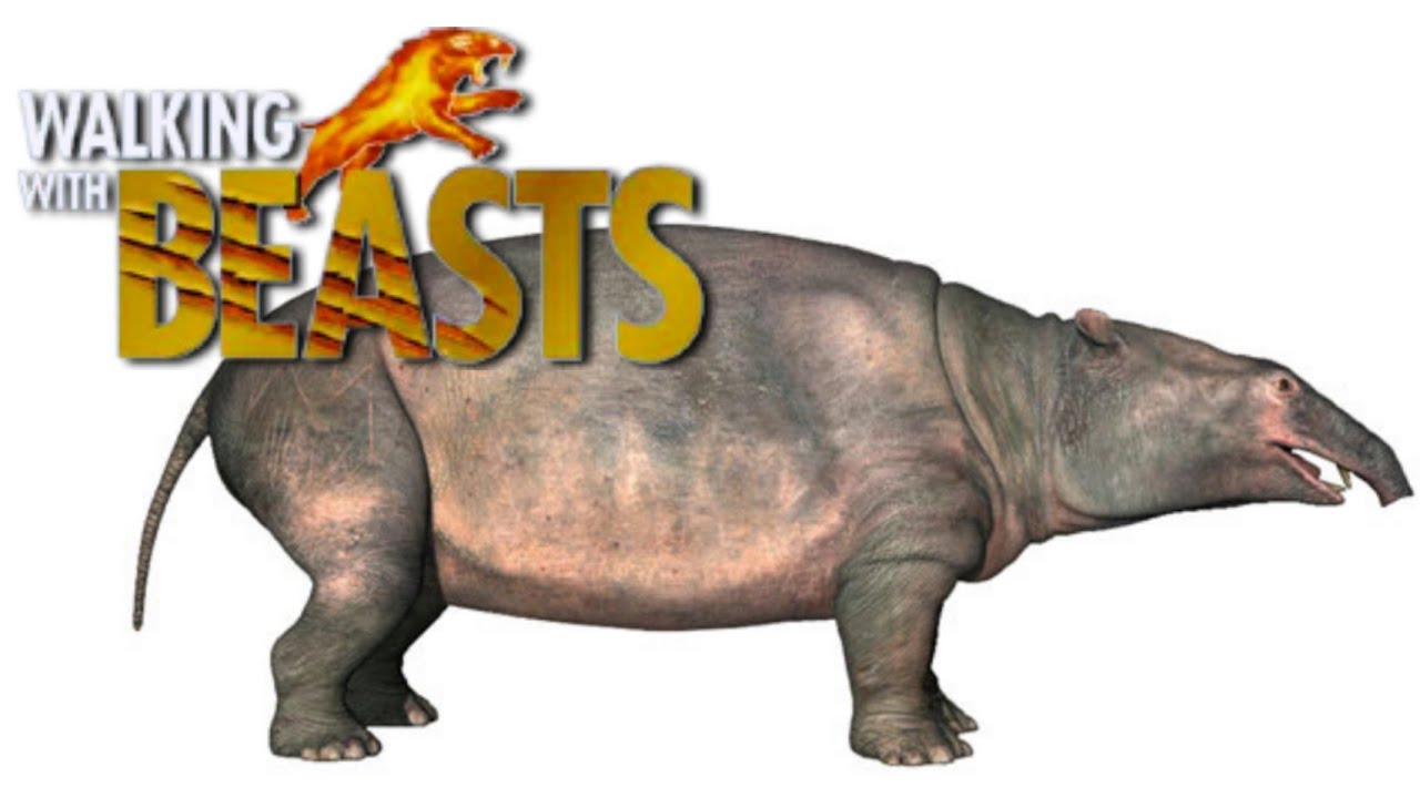 Walking With Beasts 2001 Moeritherium Screen Time Youtube