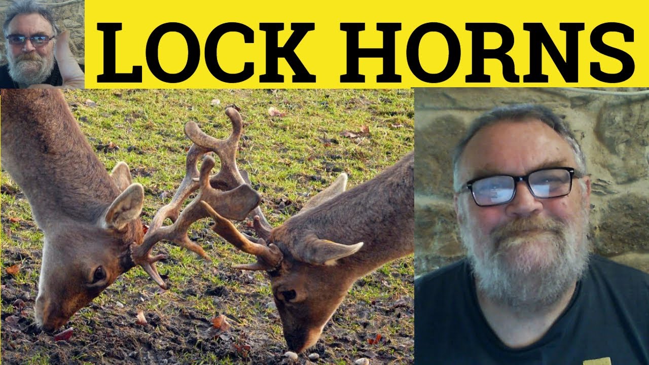 рџ µ Lock Horns Meaning Lock Horns With Somebody Examples Lock Horns