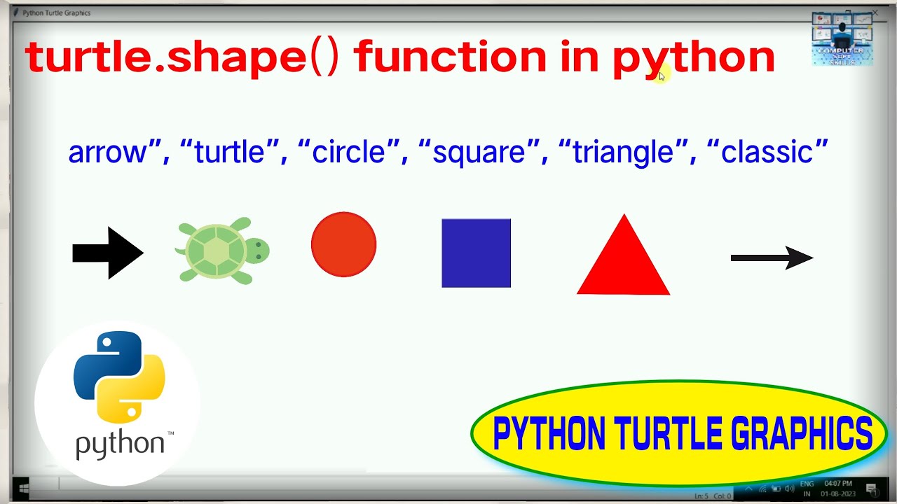 Turtle Shape Function In Python Turtle Graphics How Much Type