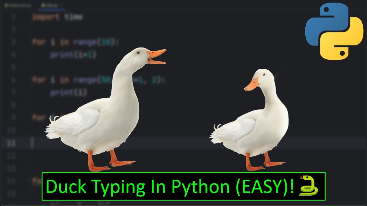 Duck Typing In Python In 4 Minutes рџђќ Youtube