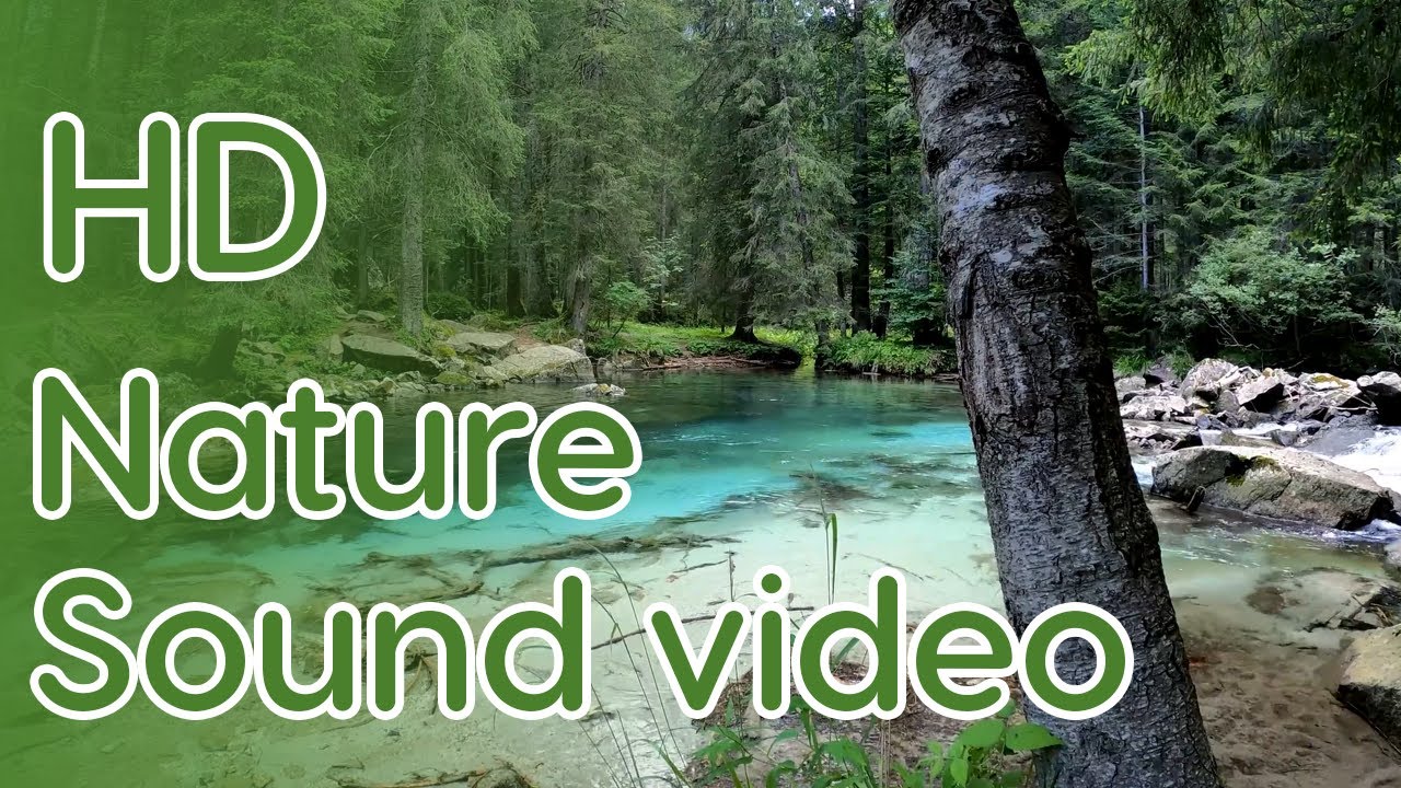 рџ ґ Calming Music With Nature Sounds Hd Relaxing Nature Sounds The