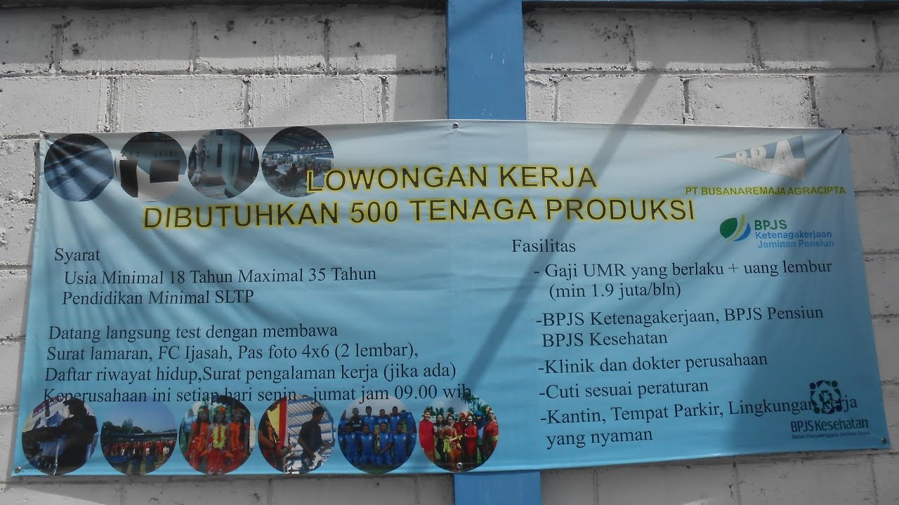 Info Lowongan Pekerjaan Youtube