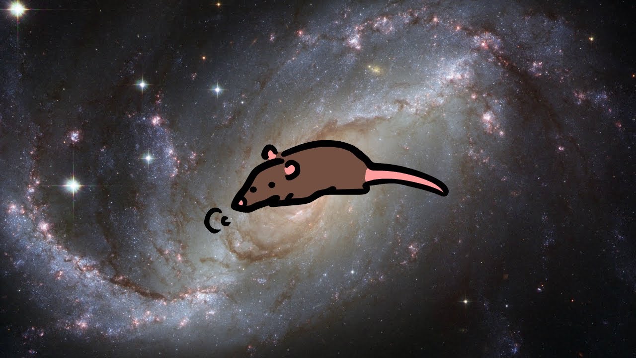 Mini Talking Rat Leader Youtube