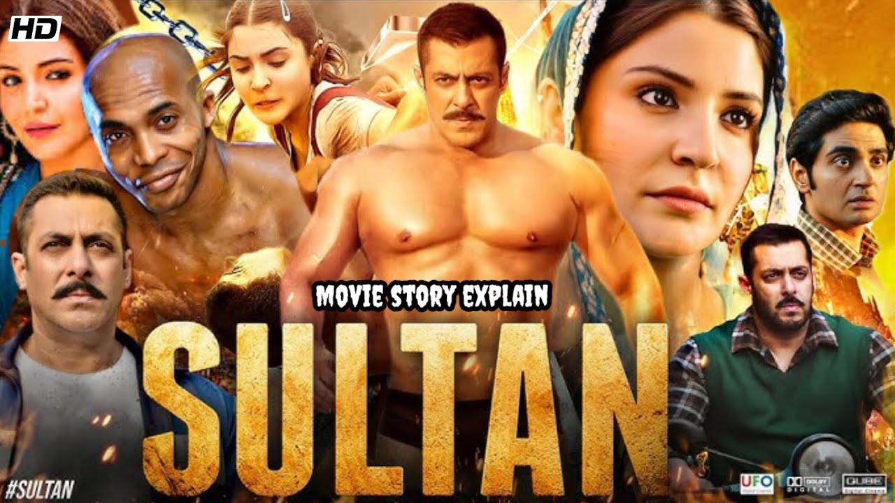 Sultan Hindi Full Movie Facts Salman Khan Anushka Sharma Randeep