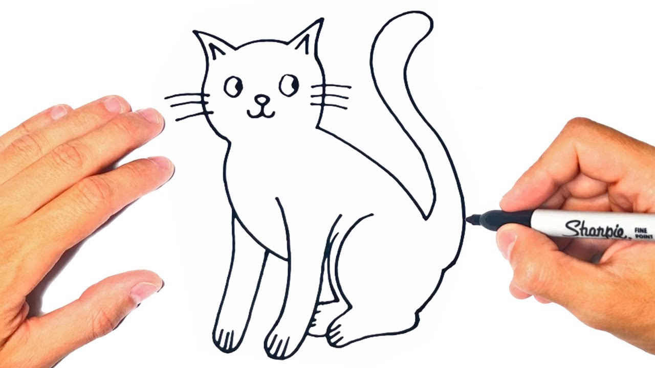 Como Dibujar Un Gato Facil Paso A Paso Para Ninos My Xxx Hot Girl