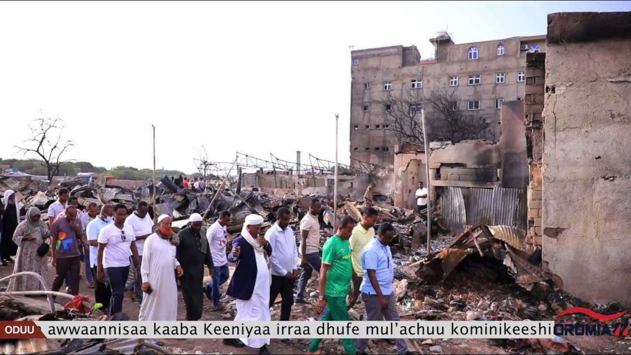 Oromia11 Oduu 7 8 2024 Youtube