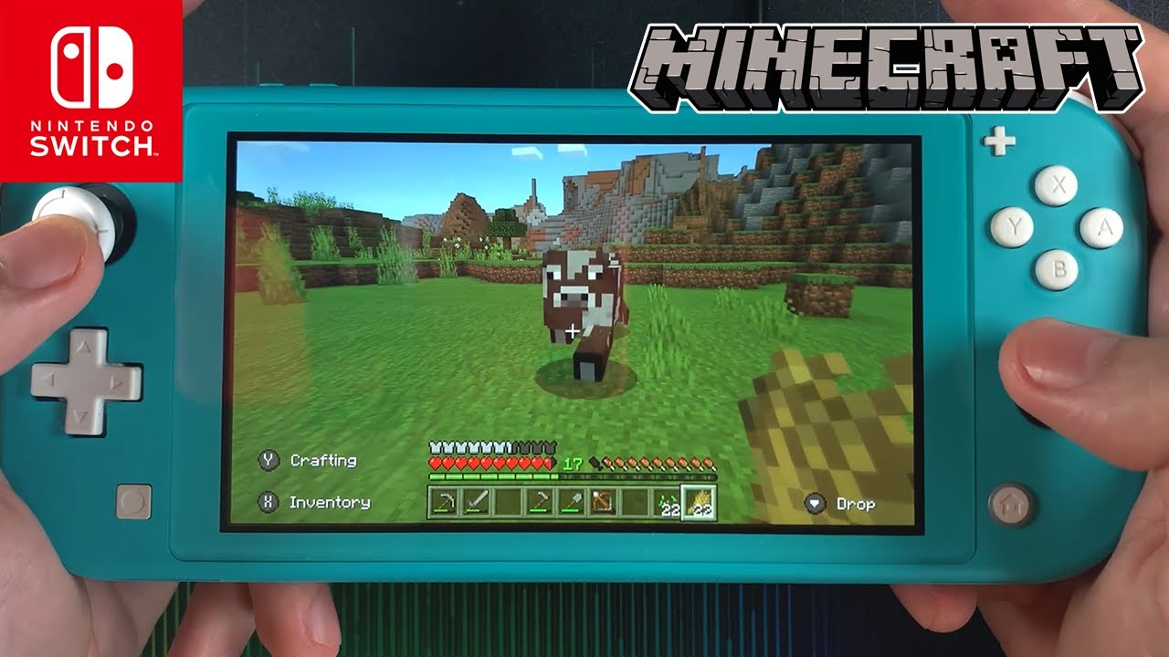 My Bro Play Minecraft On The Nintendo Switch Lite 4 Youtube