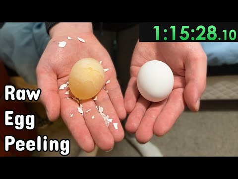 I Speedrun Peeling Raw Eggs Youtube