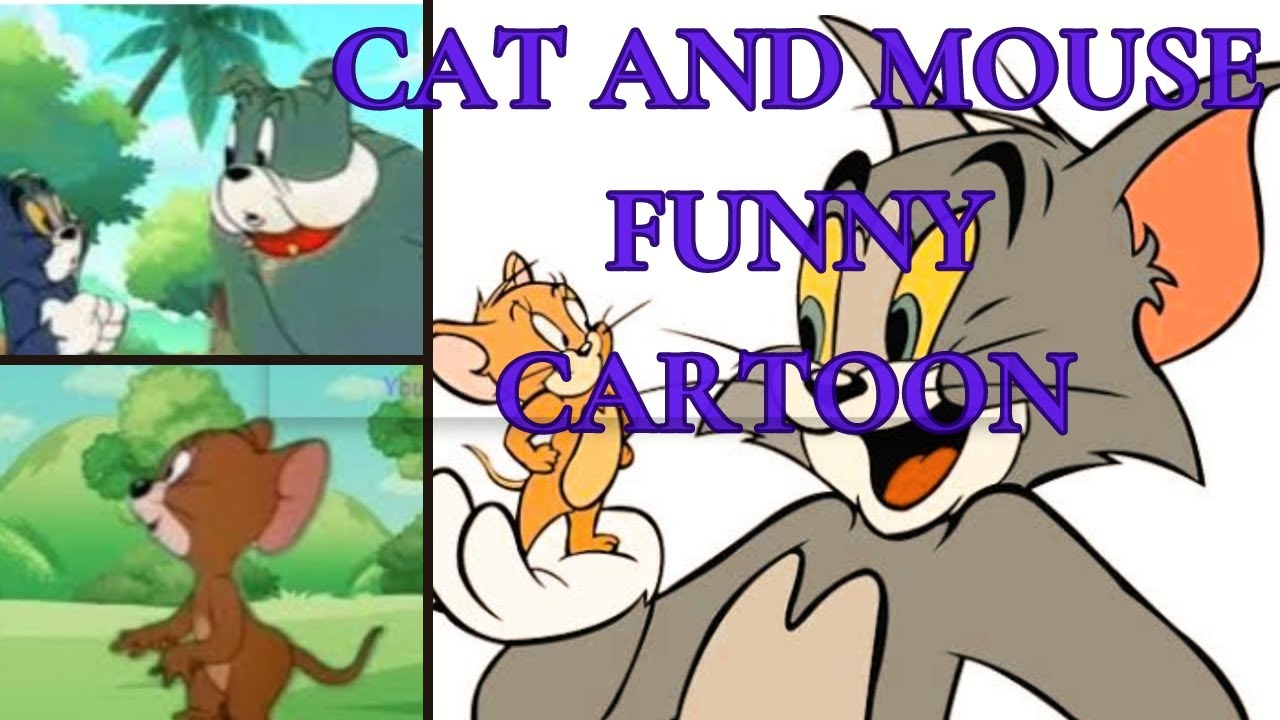 Cat And Mouse Funny Cartoon Tom And Jerry Cartoon Limitless Cat