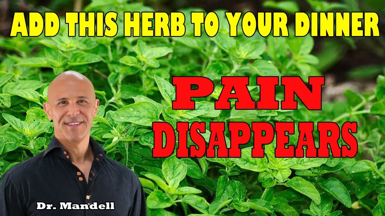 Back Pain Disappears Add This Herb To Your Dinner Dr Alan Mandell