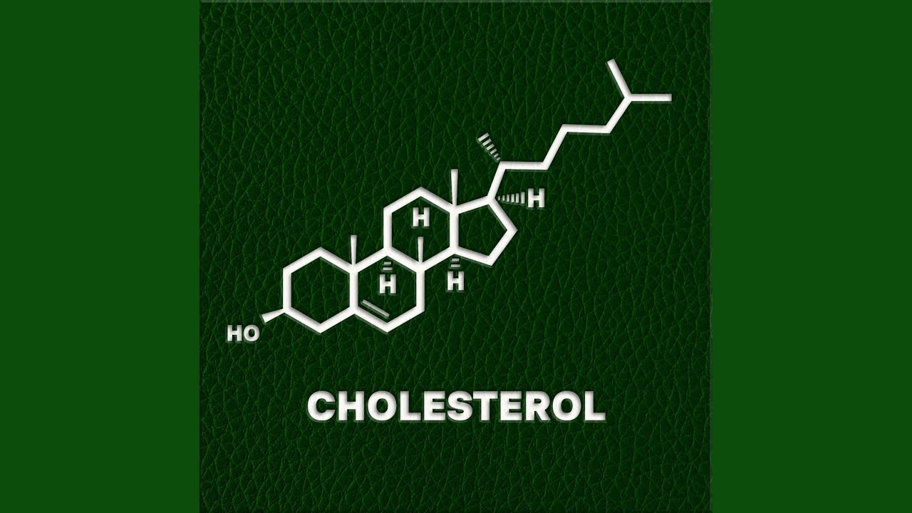 Cholesterol Youtube Music