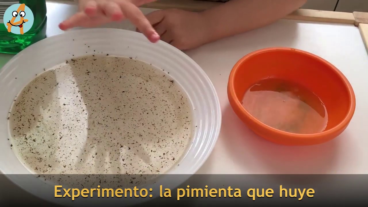 Experimento La Pimienta Que Huye Del Jabón Youtube