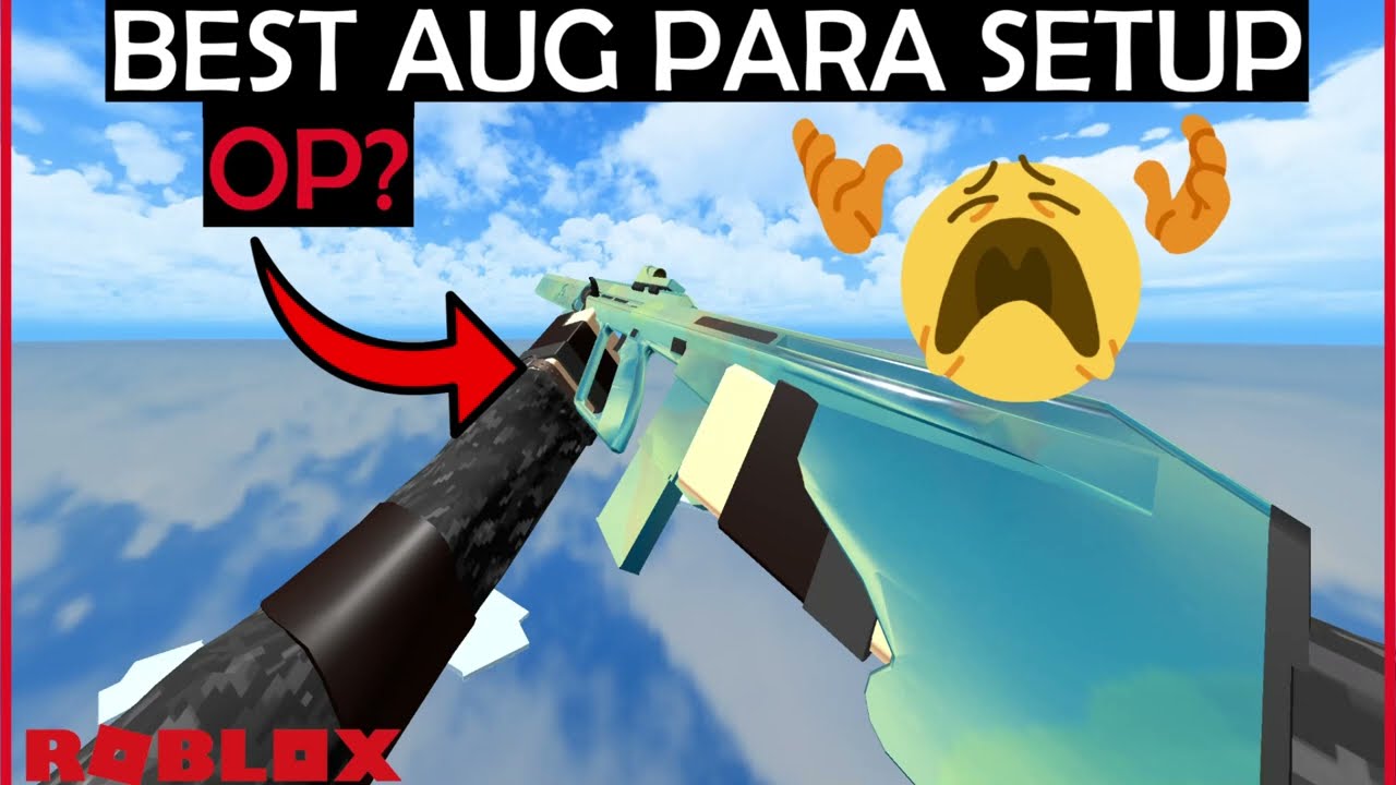This Aug A3 Para Setup Is Amazing Loadouts And Review In Desc