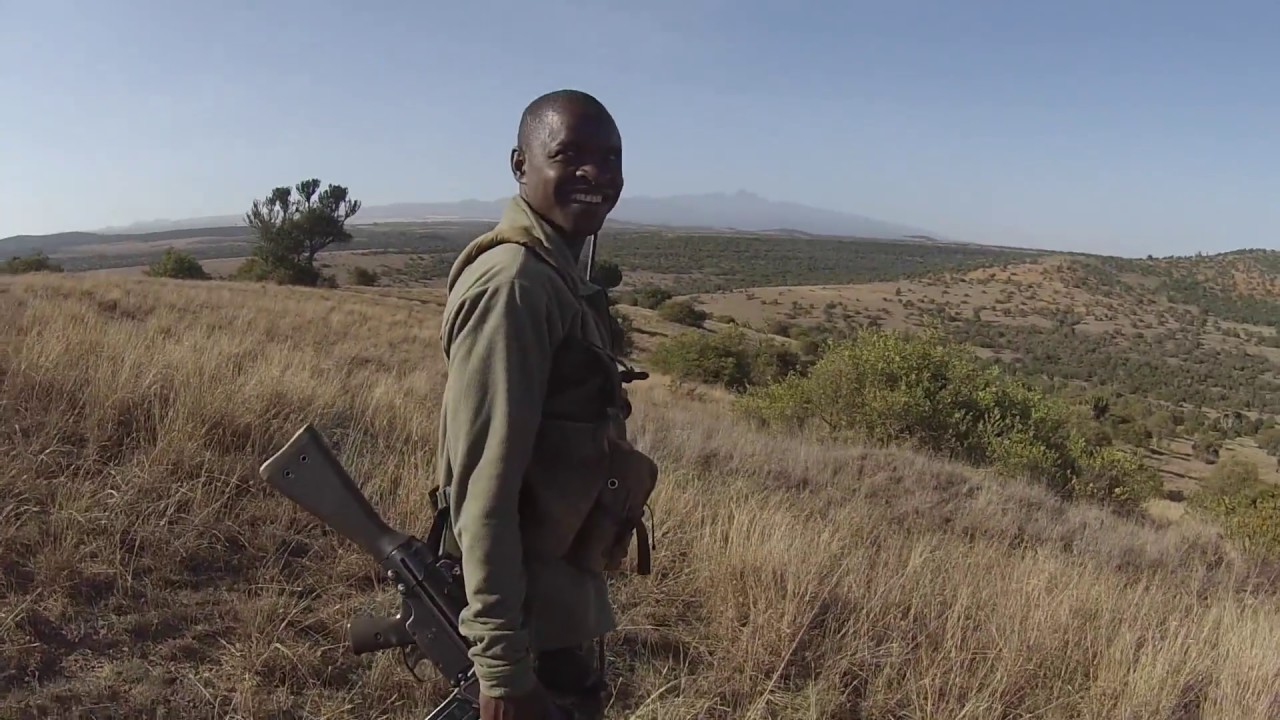 Borana Youtube