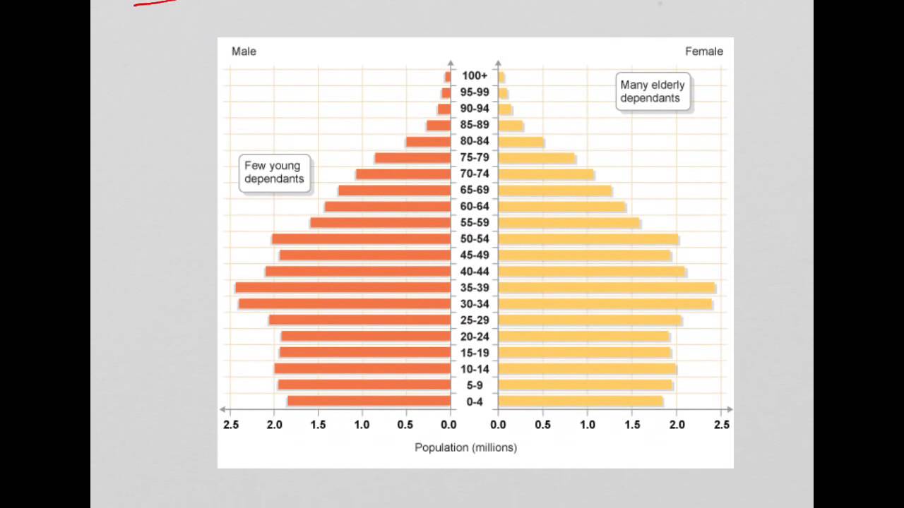 Population Pyramids Youtube