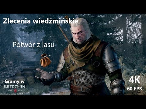 Wiedźmin 3 Dziki Gon Zlecenia Wiedźmińskie Potwór Z Lasu Youtube