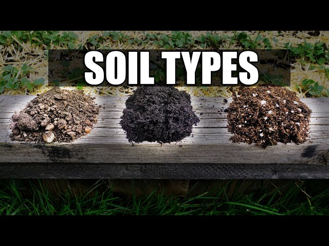 Potting Soil Vs Garden Soil What S The Difference And Which To Use