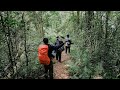 Pura Puncak Kedaton 2 276mdpl Puncak Gunung Batukaru Tabanan Bali ...