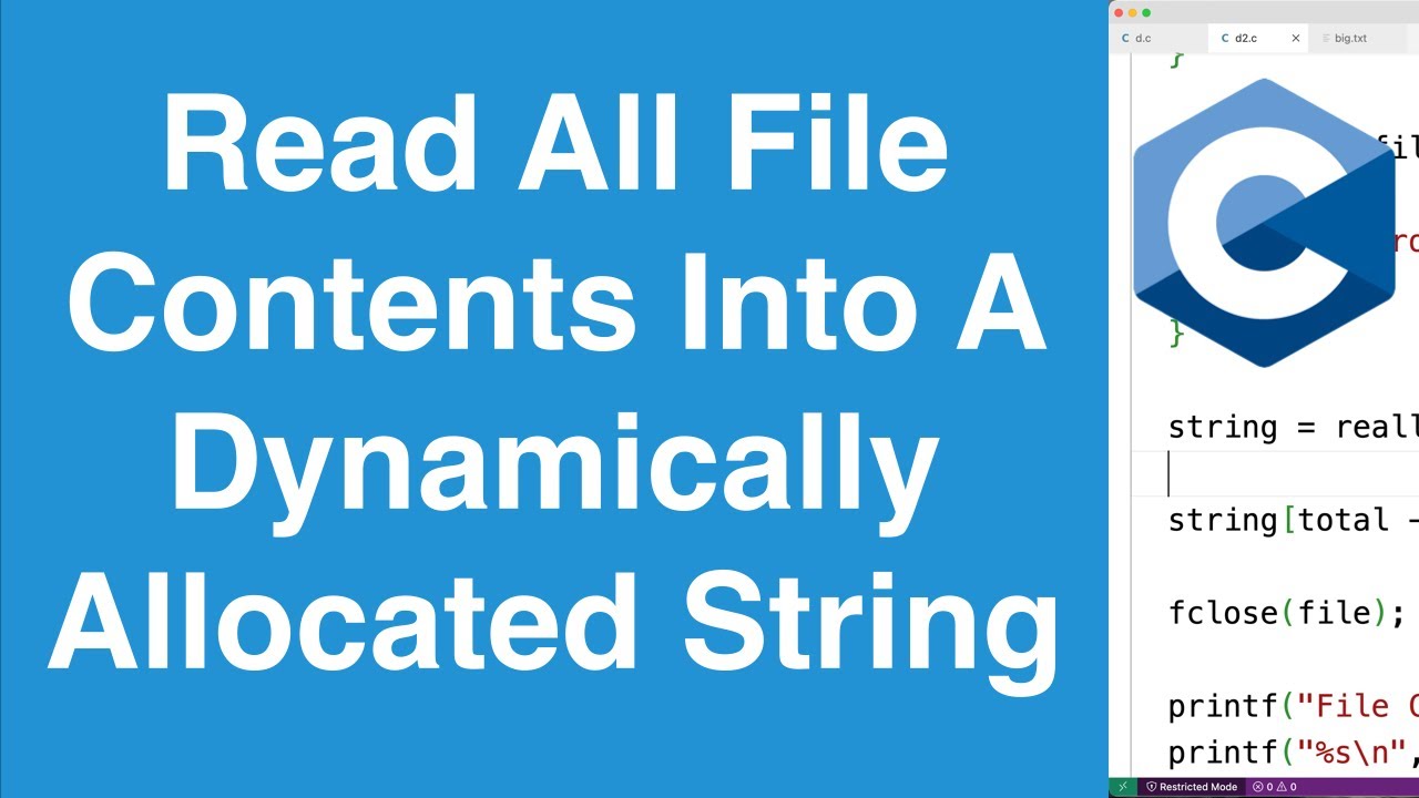 Read All File Contents Into A Dynamically Allocated String C